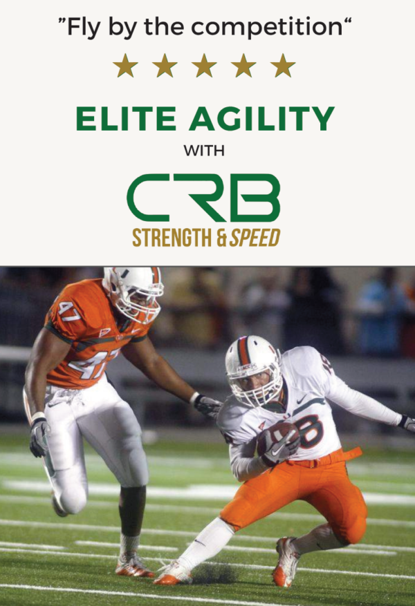 Elite Agility Program – CRB-Training.com